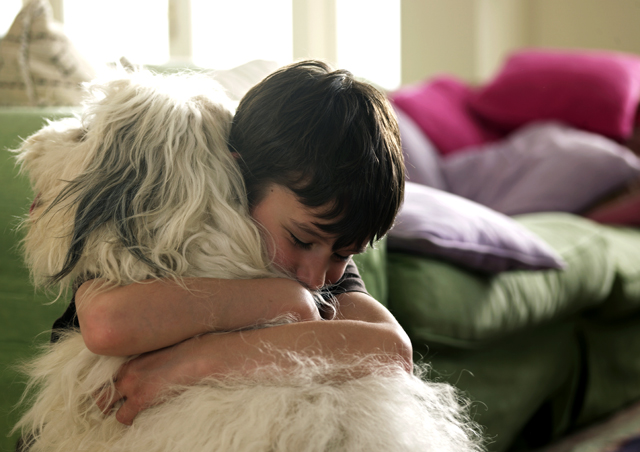The Health Benefits of Owning a Pet